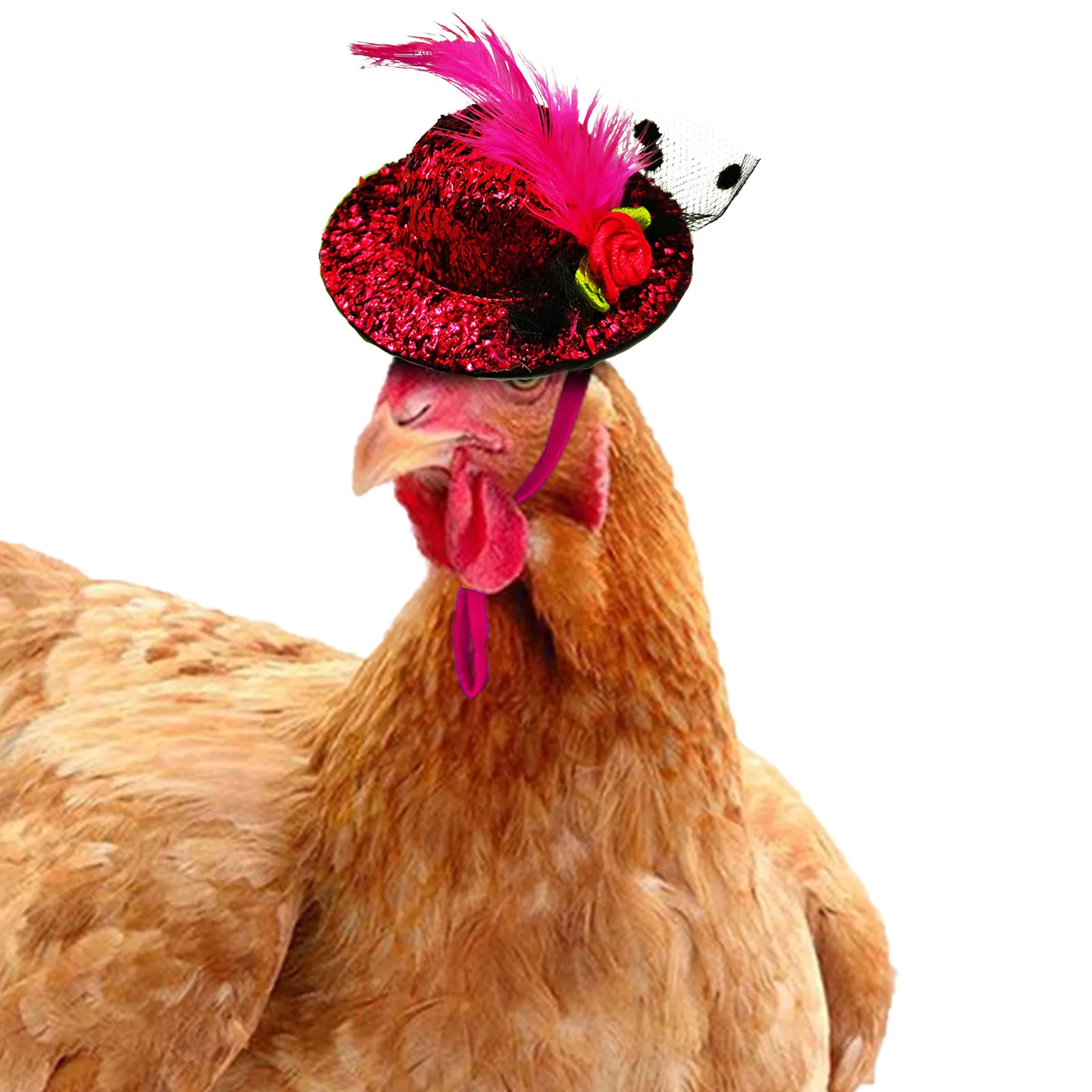 Pet-Hat-Chicken-Hat-Wear-Resistant-Hen-Pet-Headdress-Feather-Top-Hat ...