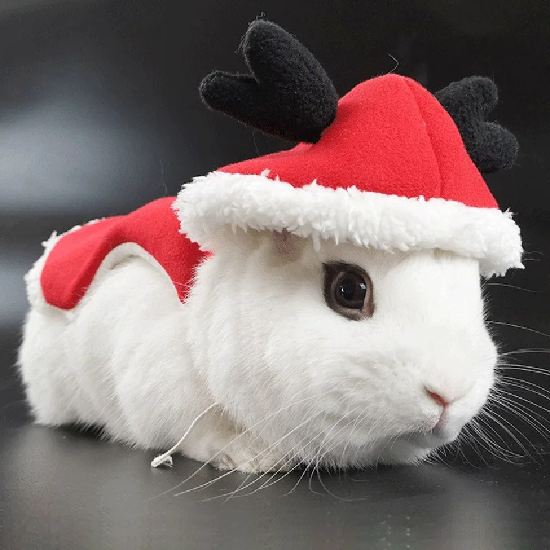 Conjunto-de-ropa-de-conejo-lindo-chaleco-de-conejito-de-Navidad-arn-s ...