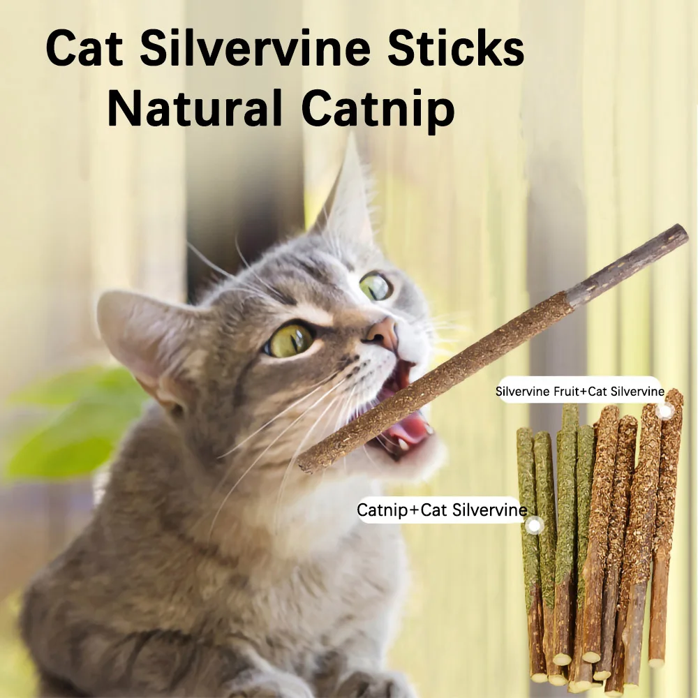 Catnip-sopa-kedi-temizlik-di-leri-ta-lama-di-g-m-asma-meyve-Silvervine ...