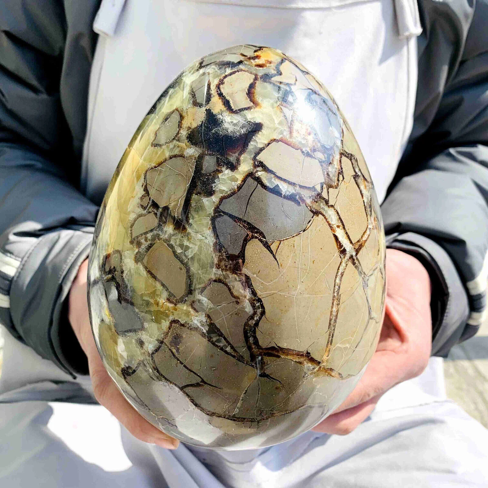 Natural-Turtleback-Stone-Hand-Carved-Dinosaur-Egg-Crystal-Ore-Energy ...