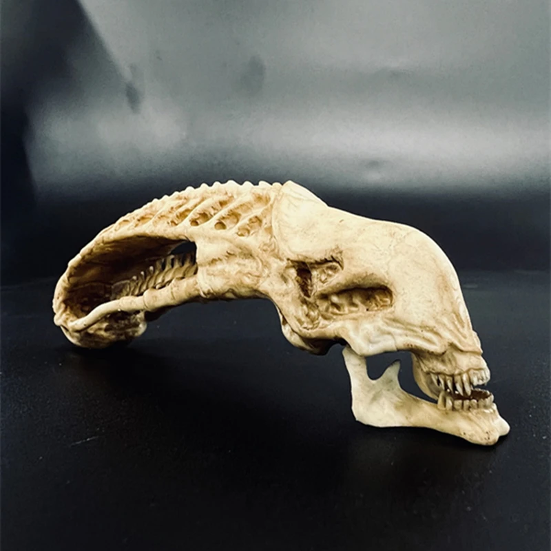 3D Printed Xenomorph Alien Film Skull Resin Heteromorphosis Figure Home ...