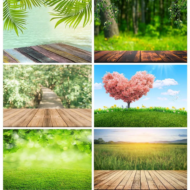 Natural-Scenery-And-Planks-Photography-Background-Spring-Landscape ...