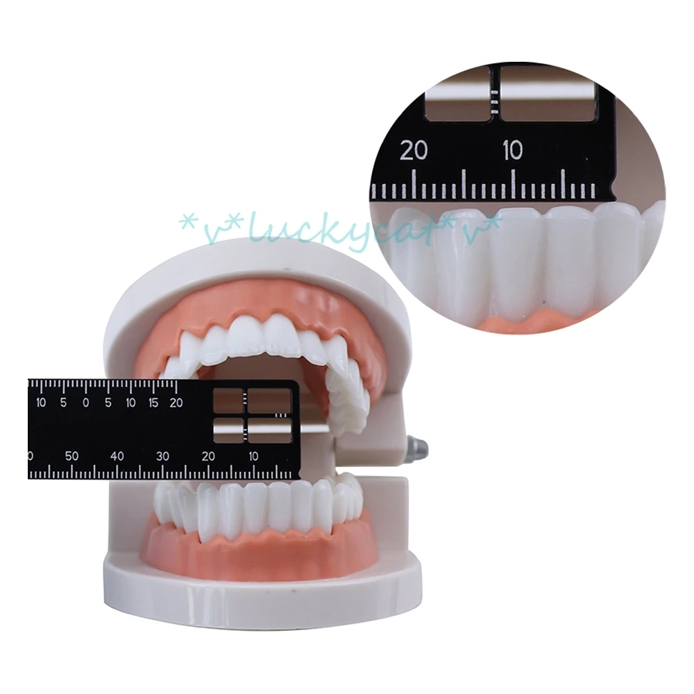 1Pcs-new-durable-Dental-Plastic-Precision-Measuring-Ruler-Medical-Tool ...