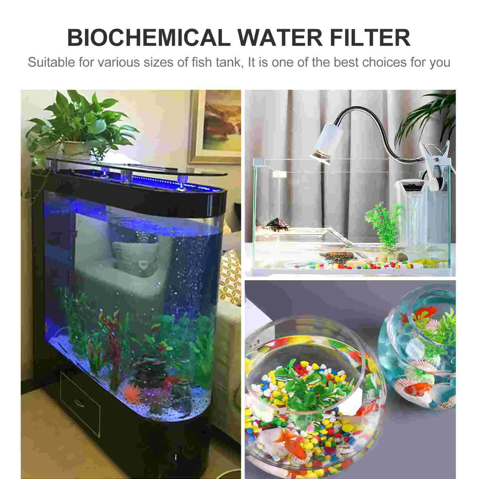 Pitchers Fish Tank
