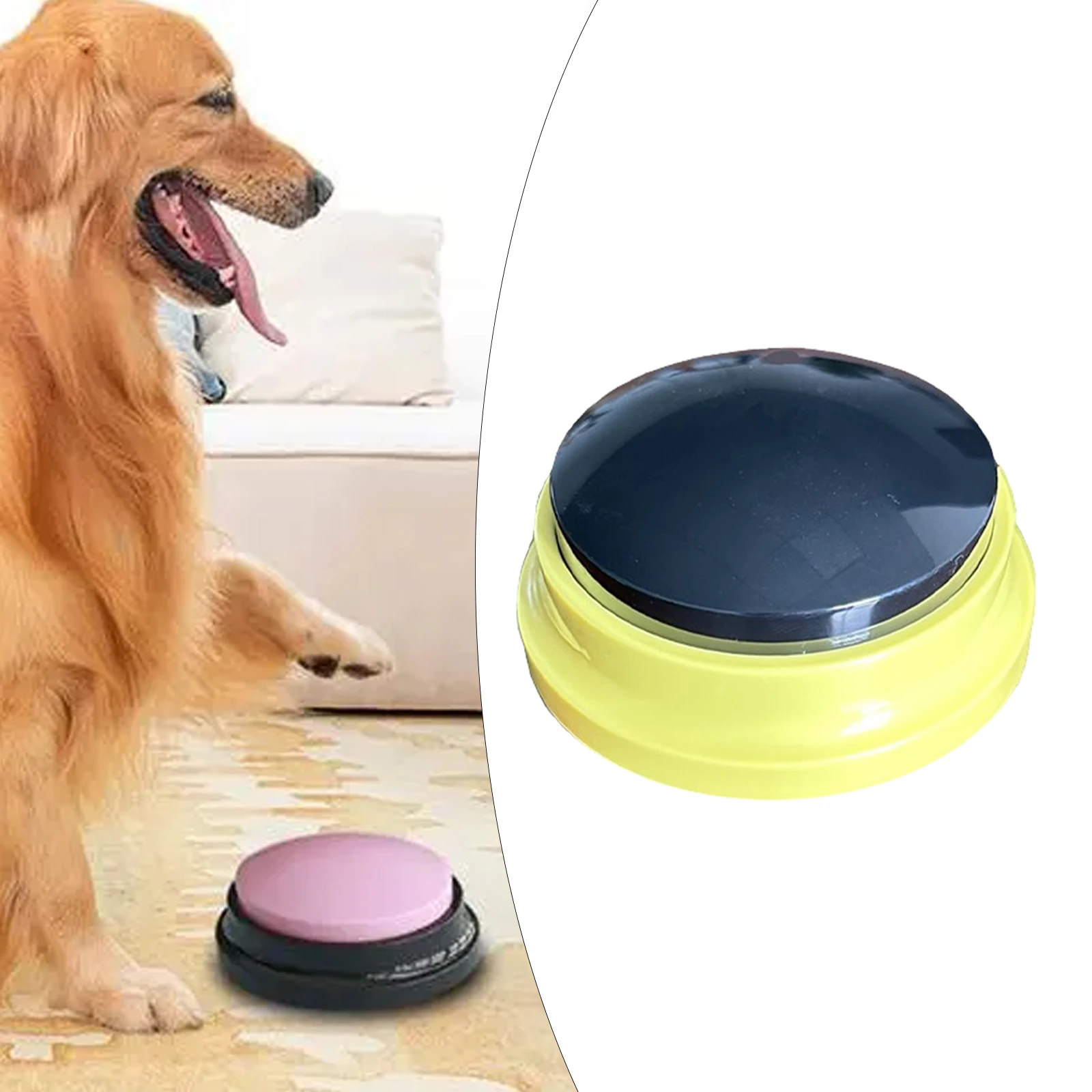 30S Answer Buzzers Recordable Pet Training Device Funny Gags Gifts ...