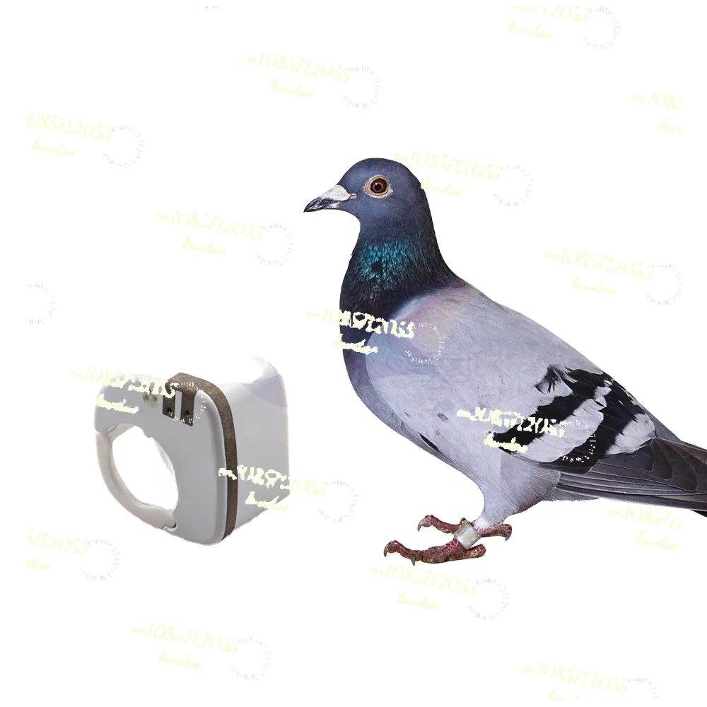 For-GPs-Para-Pajaros-GPS-Pigeon-Tracking-Ring-Mini-GPS-Tracker-for ...
