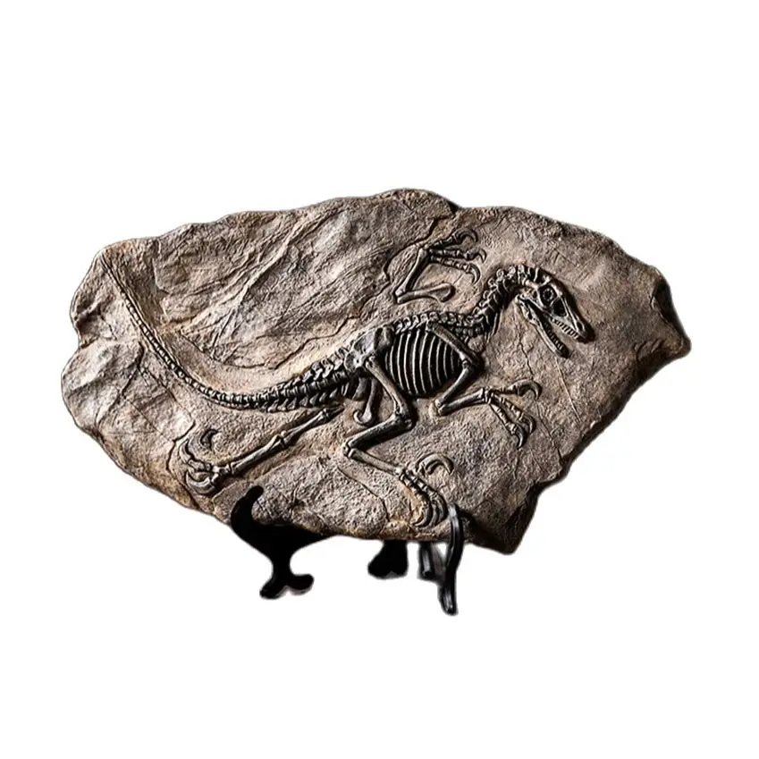 American-Dinosaur-Fossil-Study-Home-Living-Room-Porch-Decoration-Crafts ...