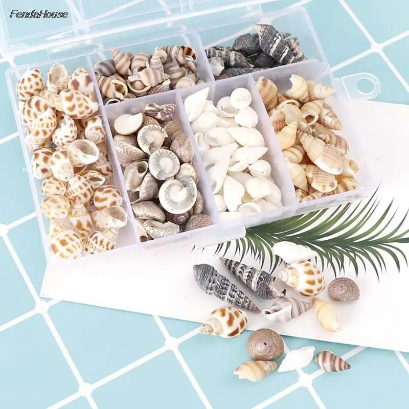 1-3cm-1-BOX-Mix-Style-Natural-Shell-Natural-Conch-Shells-Mini-Conch ...