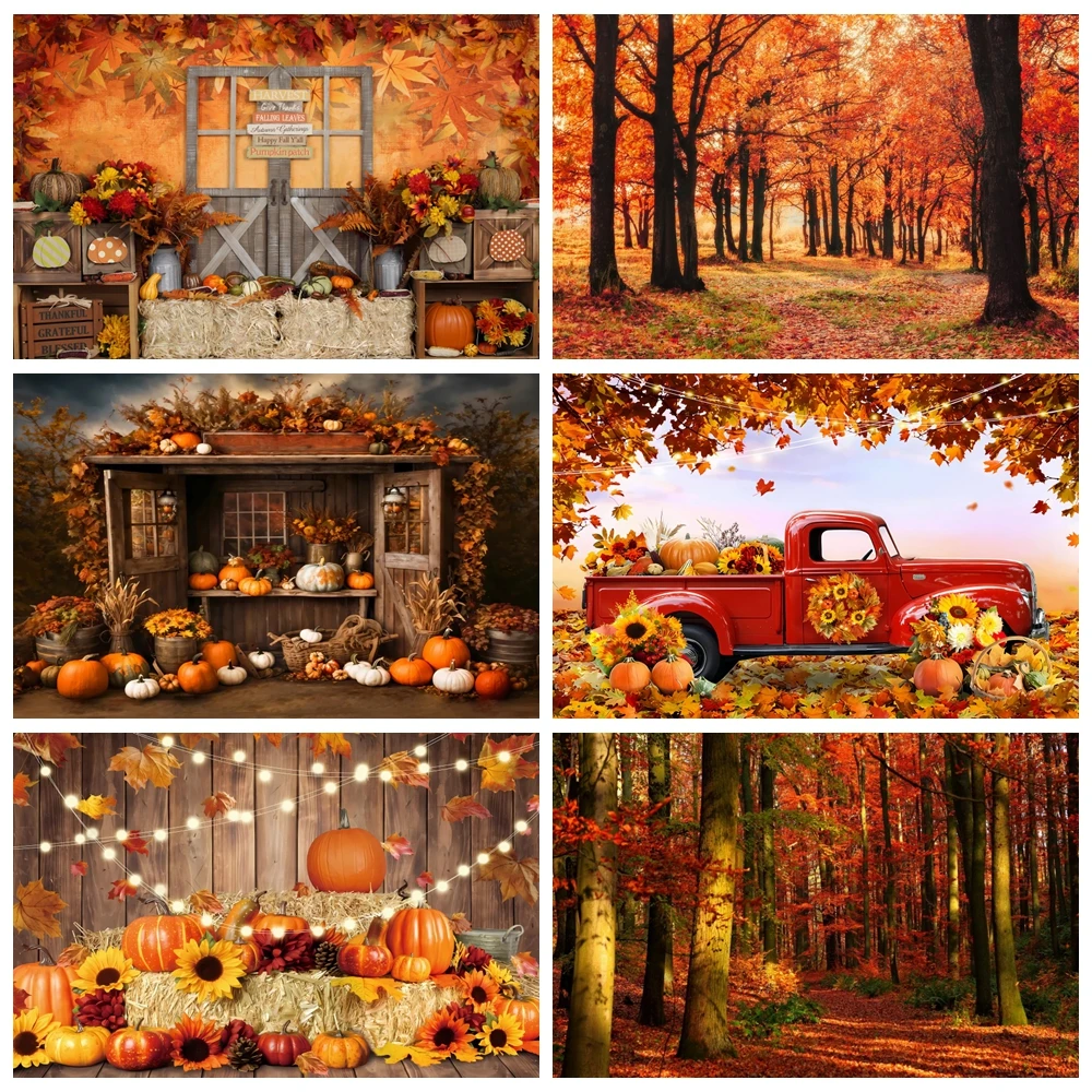 Autumn-Sunshine-Wheat-Fields-Backdrop-for-Photography-Fall-Farm-Harvest ...