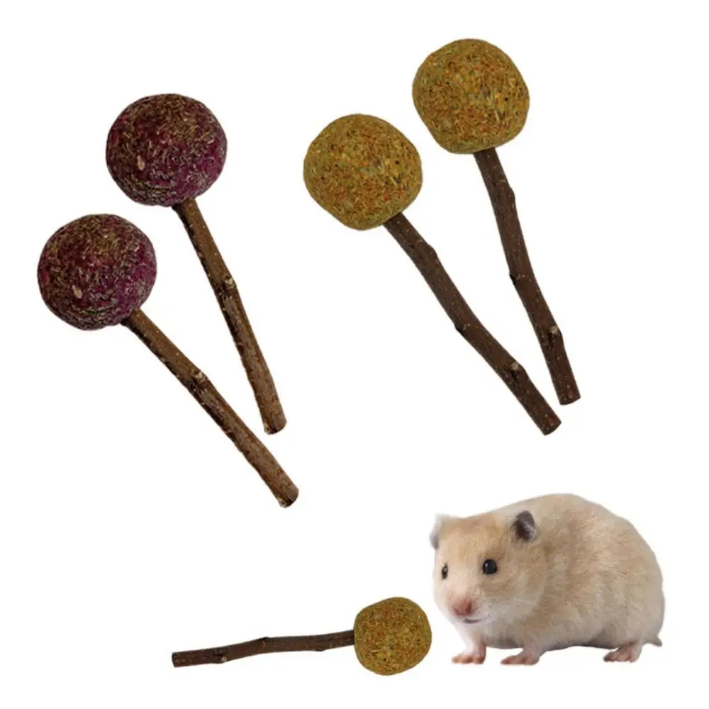 1pc-Bunny-Chew-Toy-Lollipop-of-Teeth-Natural-Wood-Stick-With-Timothy ...