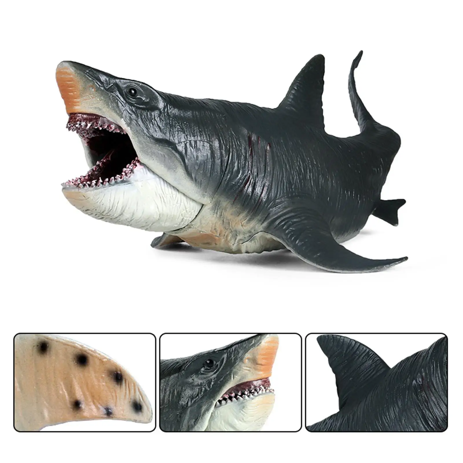 Shark-Figure-Megalodon-Model-Animal-Simulation-Shark-Toy-for-Teaching ...
