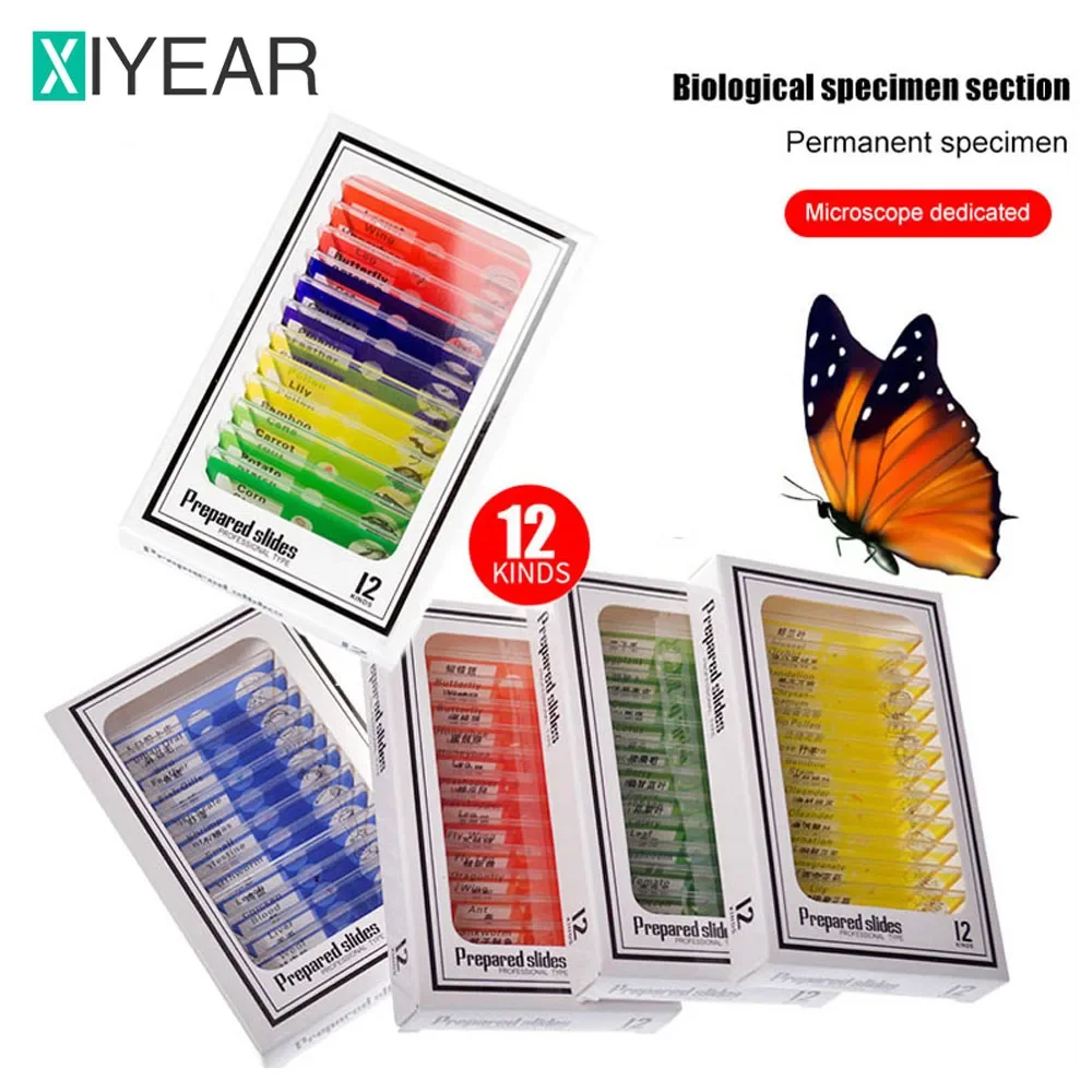 48-60Pcs-Prepared-Plastic-Microscope-Slides-Biological-For-Children ...