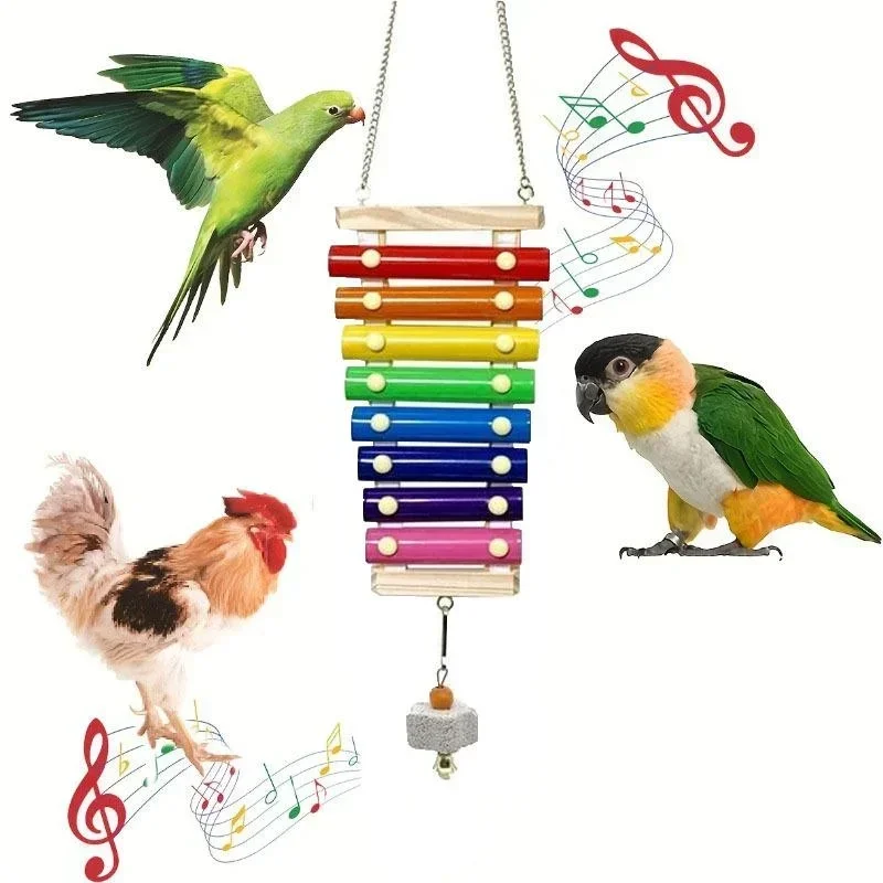 Colorful Bird Xylophone Toy Parrots Chicken Toys Bird Cage Toy ...