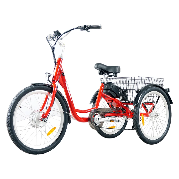 The-Best-OEM-and-ODM-Customized-24-inch-electric-tricycle-Three-Wheels ...