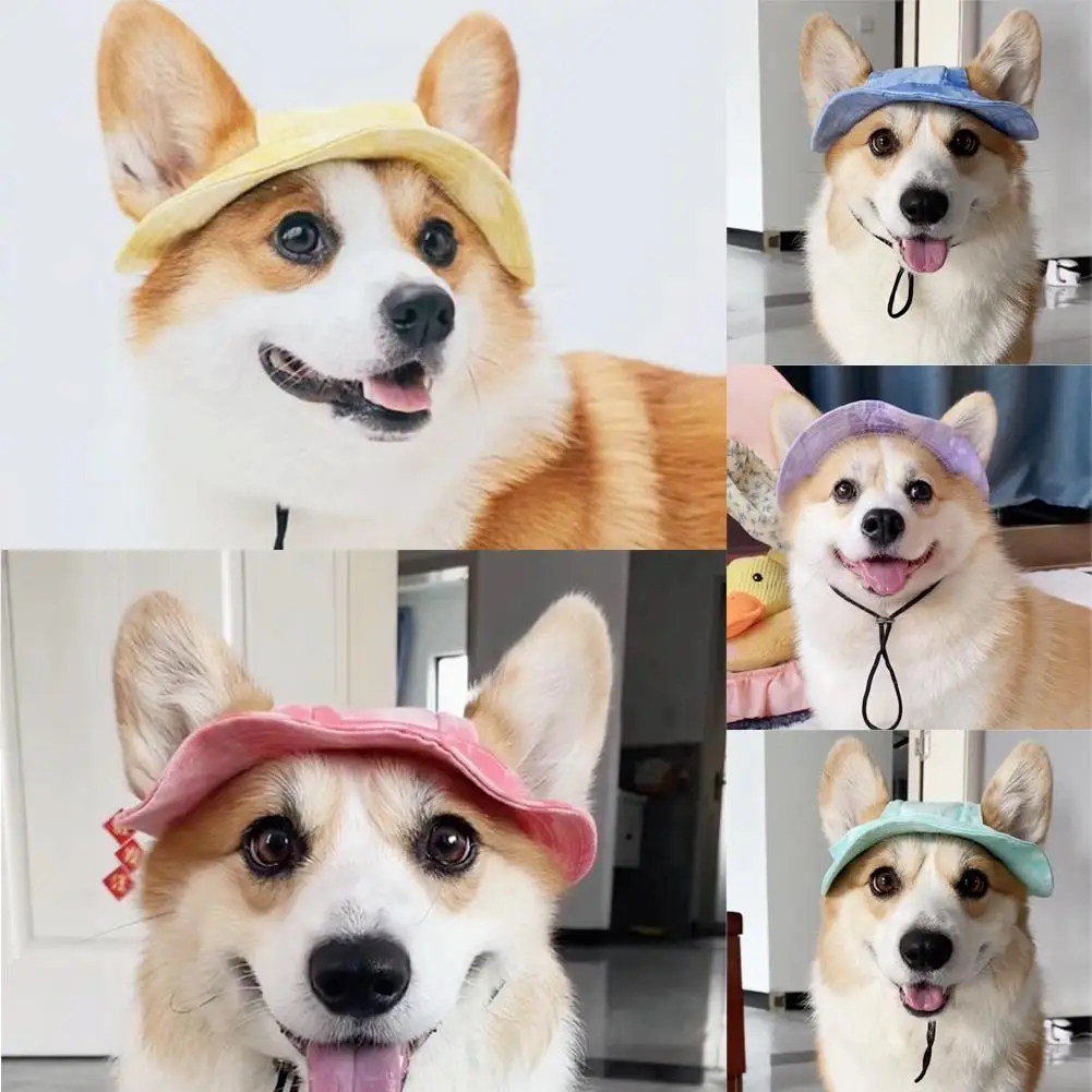 Pet-Hat-Summer-Earless-Sun-Hat-Corgi-Sunblock-Fisherman-Hat-Dog-Photo ...