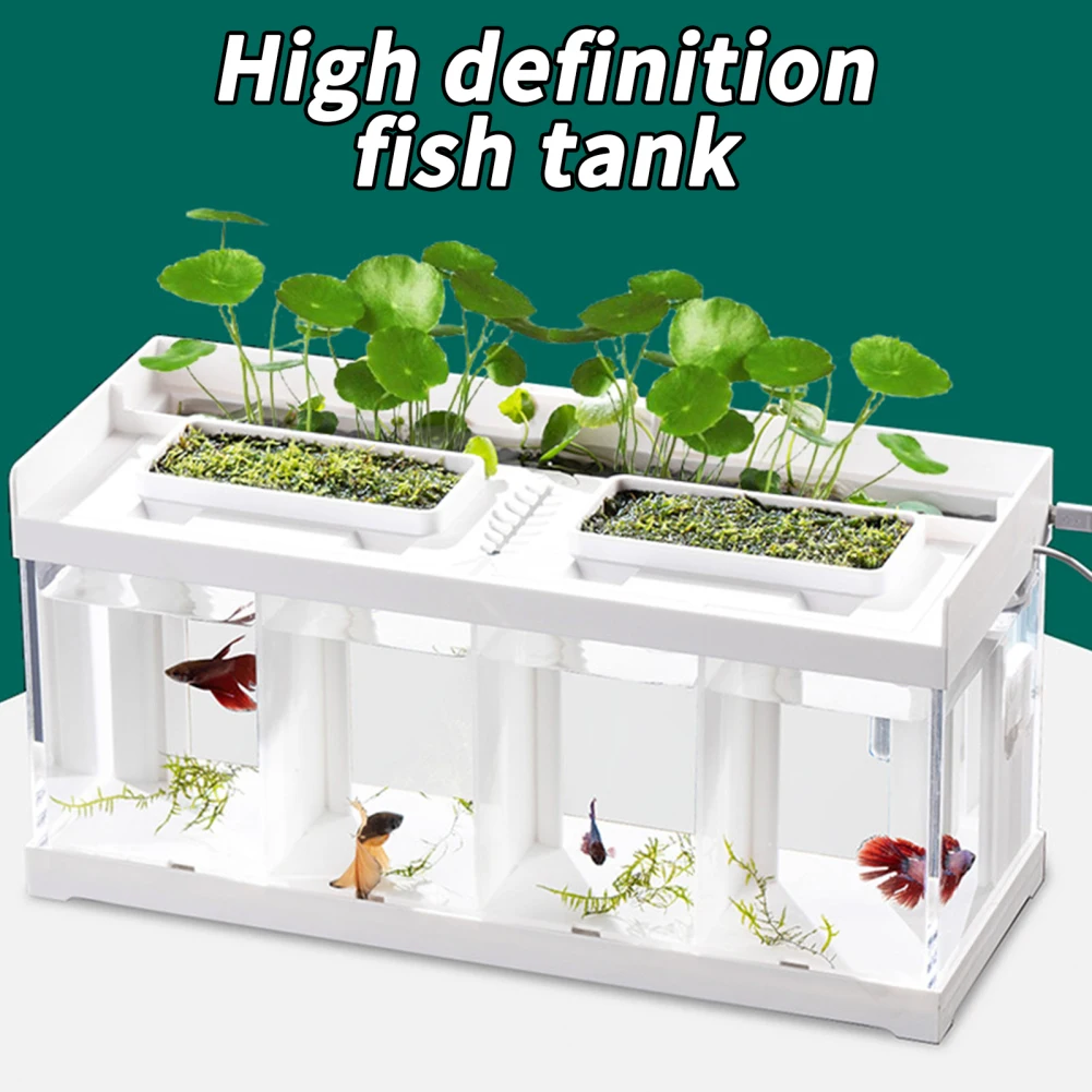 Small-Fish-Tank-With-Filter-LED-Light-Aquarium-Tank-Kit-Office-Desktop ...