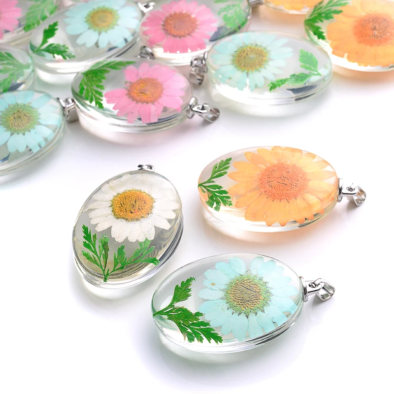 12 Oval Shape Preserved Fresh Flower Narcissus Petal Charms Daisy ...