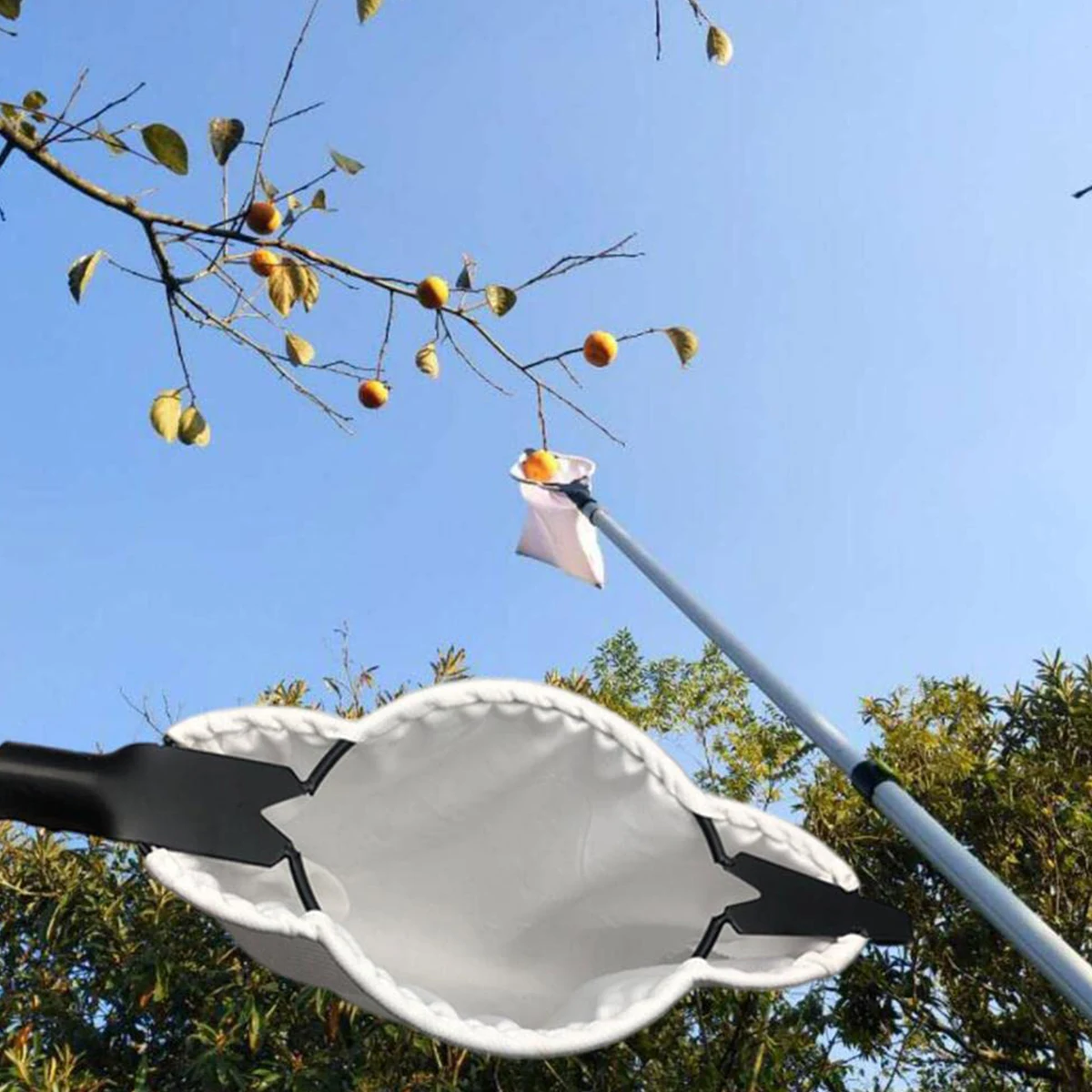 Fruit-Picker-Orchard-WIth-Blade-Garden-High-Tree-Picking-Tool-Tree ...