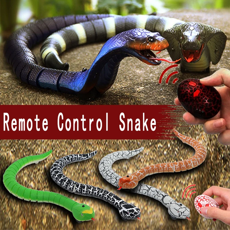 Remote-Control-Snake-Toys-for-Kids-Boys-Children-Girls-Animals-Cat-Pets ...