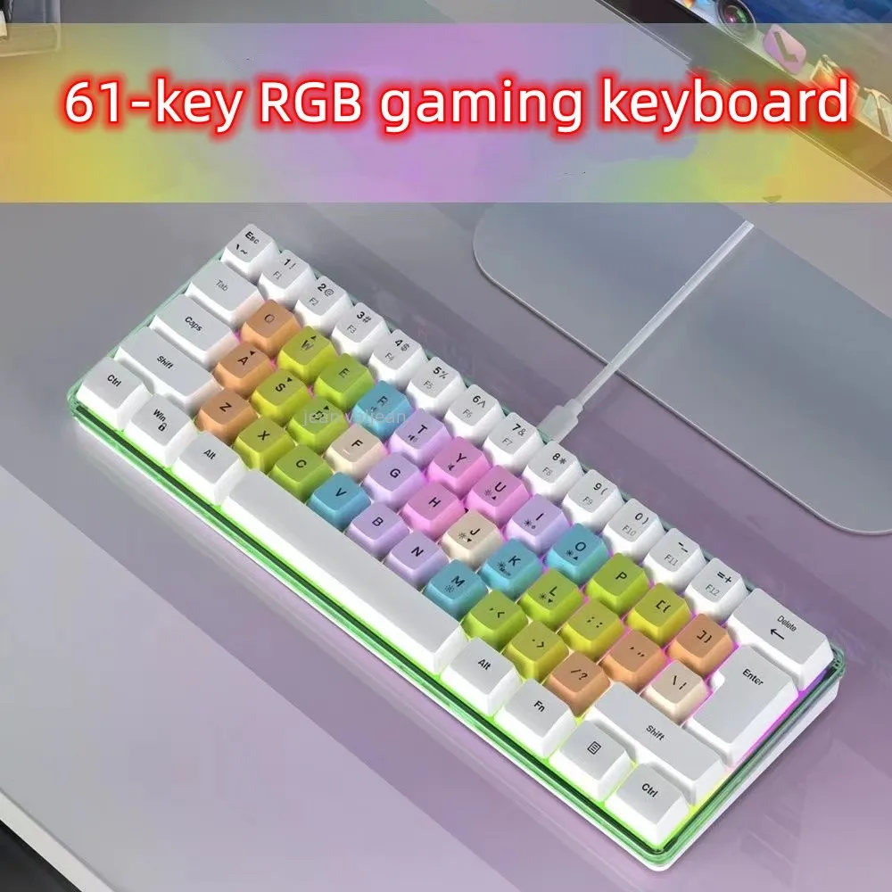 New-61-Key-Mini-Gamer-Wired-Keyboard-Mute-RGB-Type-c-USB-Backlit ...