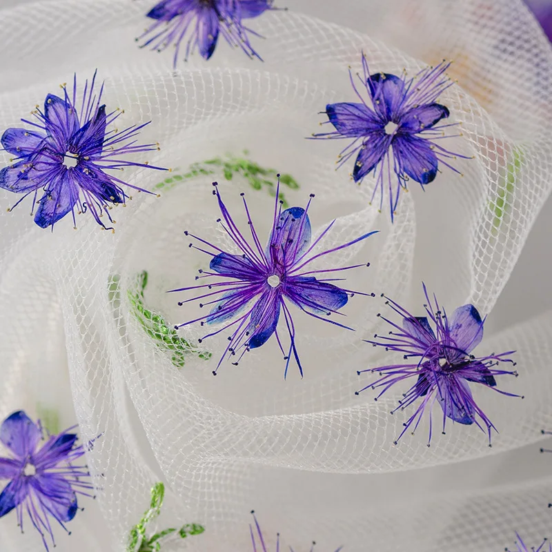 12PCS-Real-Dried-Flowers-Symplocos-Paniculata-for-DIY-Bookmark-Phone ...