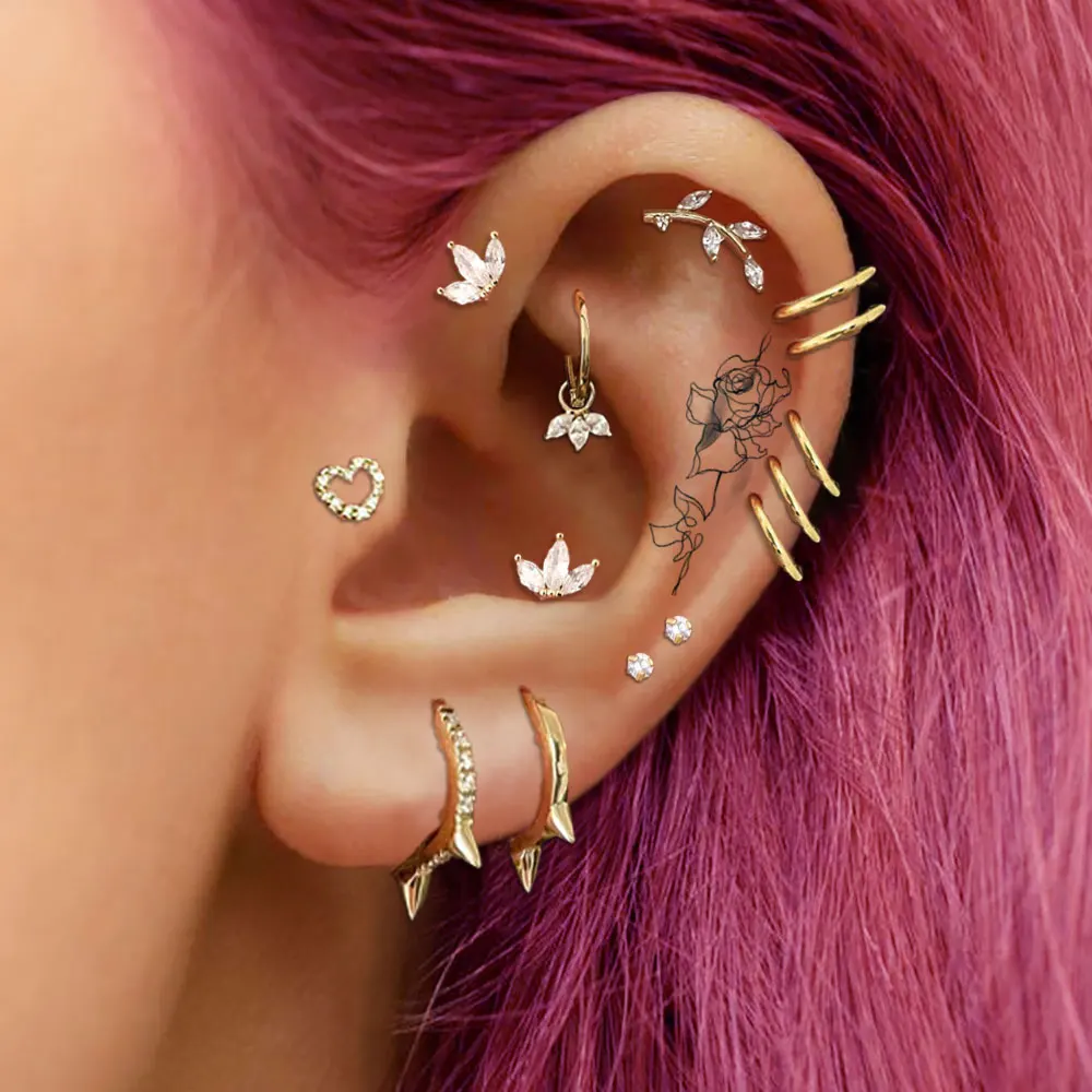 Stainless-Steel-Hoop-Piercing-Earring-Crown-Leaf-Heart-Rook-Helix ...