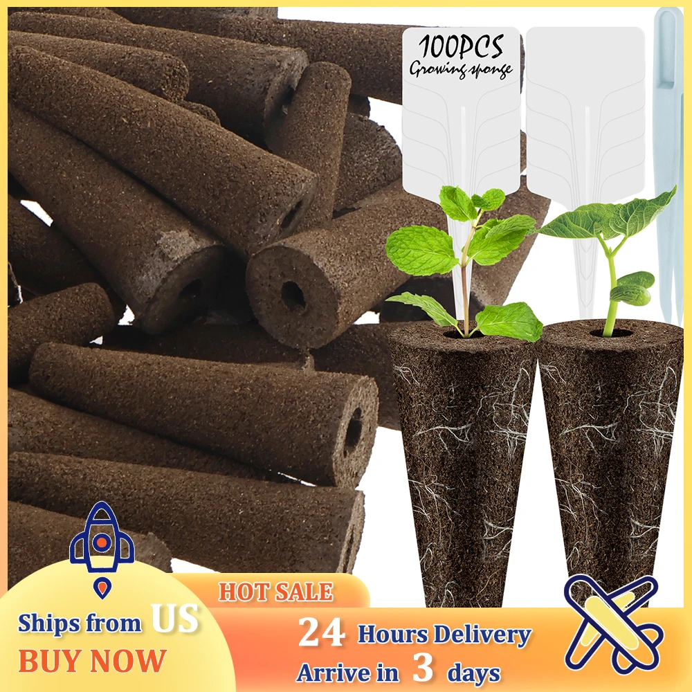 50-100Pcs-Seed-Growing-Sponges-Seedling-Starter-Sponges-Water-Absorbent ...