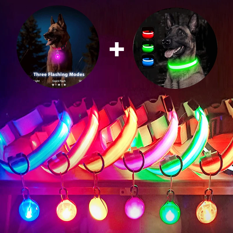 Dog Collar Small Dogs Luxury | Luminous Collars Small Dogs | Bright ...