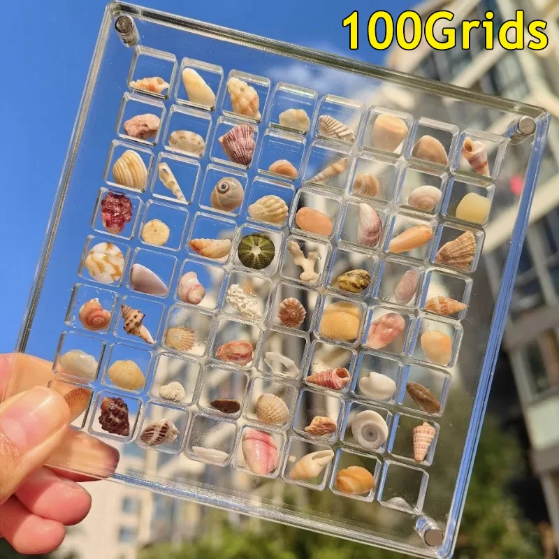 Shell-Storage-Box-Acrylic-Square-Transparent-Seaside-Miniature-Stone ...