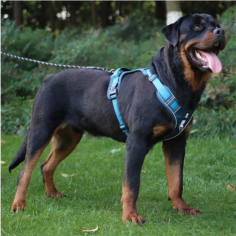Dog Harness Large Dog Vest Type Chest Strap Reflective Strip Without ...