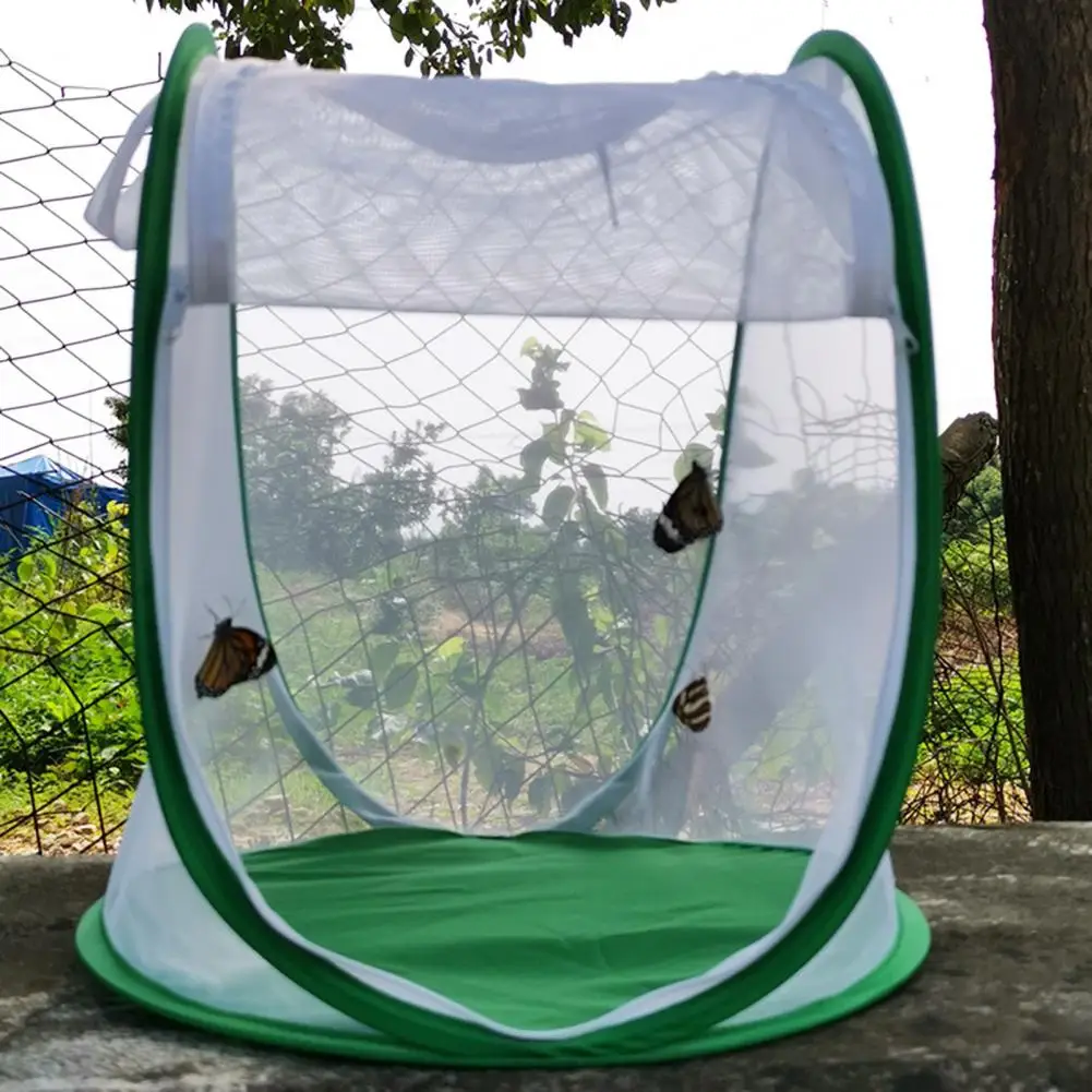 for-Garden-Easy-to-Carry-Insect-Cage-Green-Insect-Mesh-Cage-Foldable ...