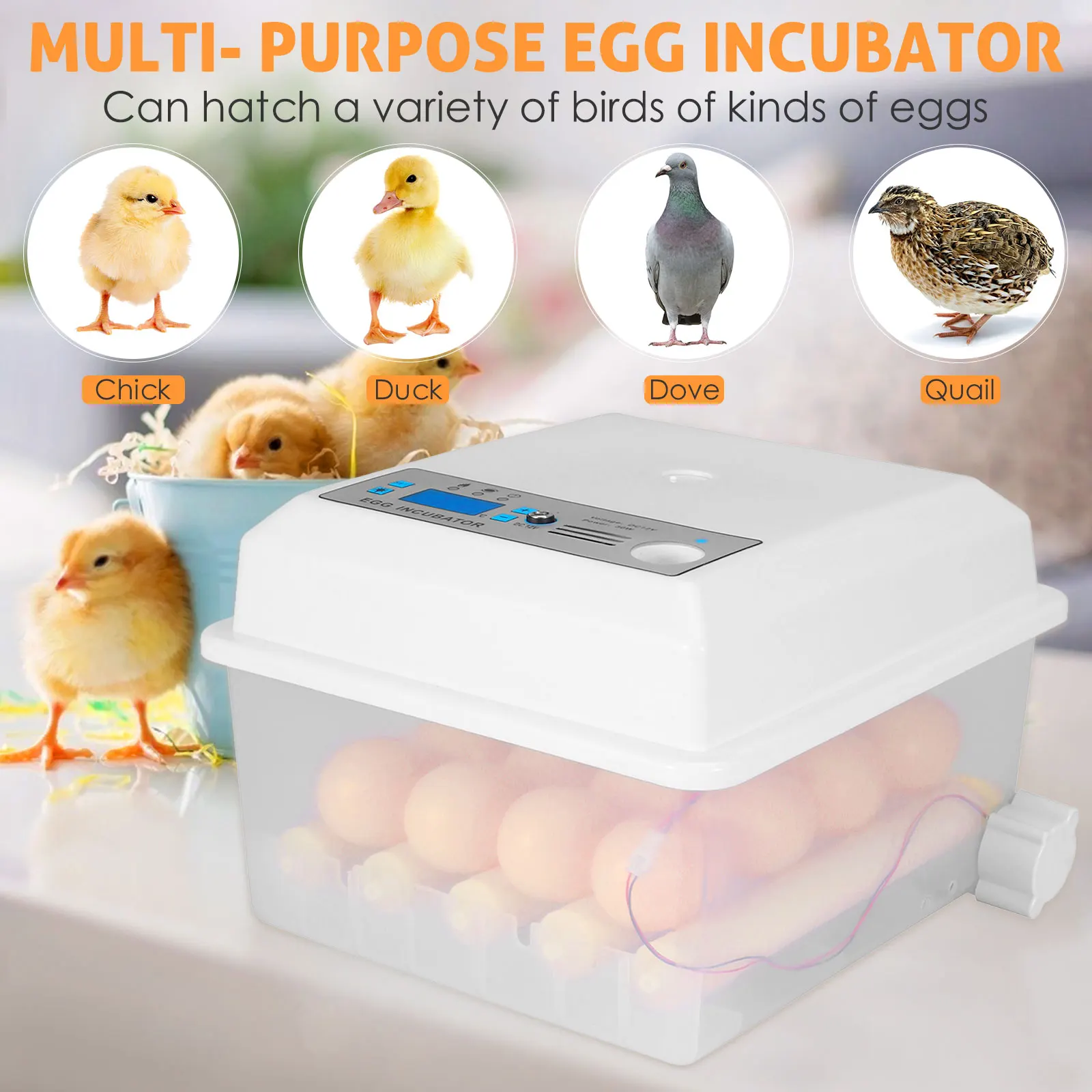 220V-Egg-Incubator-Fully-Automatic-16-Eggs-Digital-Mini-Brooder-Small ...