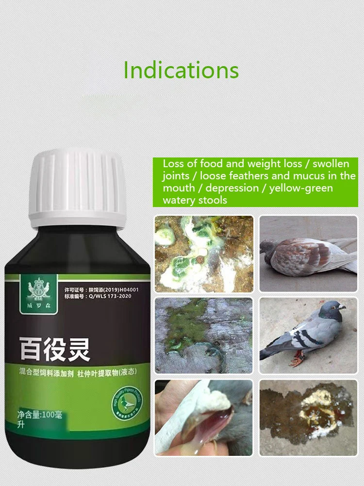 Salmonella-pigeons-use-health-products-to-prevent-common-diseases-of ...