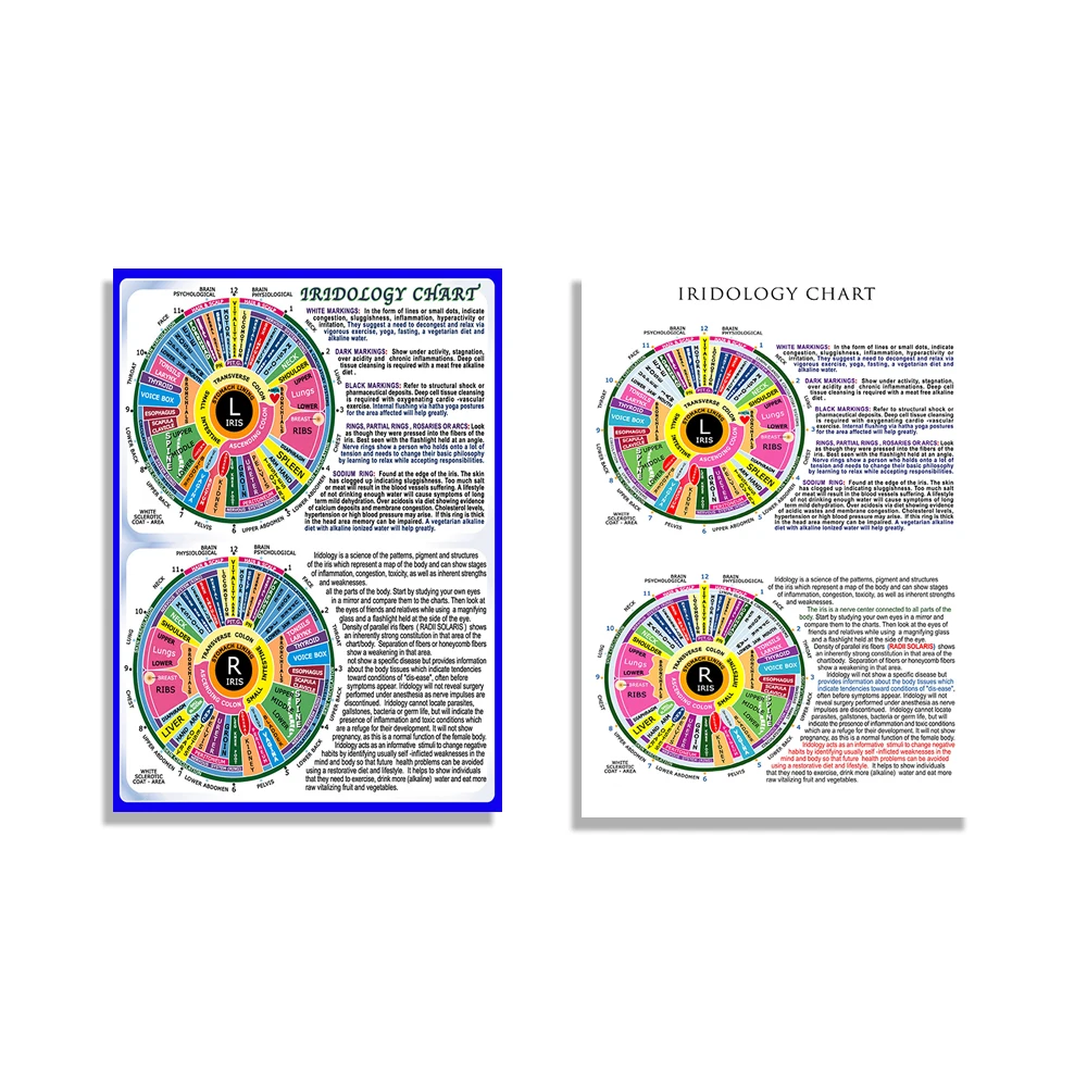 Iridology Eye Chart