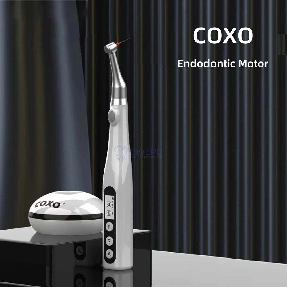 COXO-C-Smart-Mini-Dental-Endo-Motor-1-1-Contra-Angle-360-Rotation-For ...
