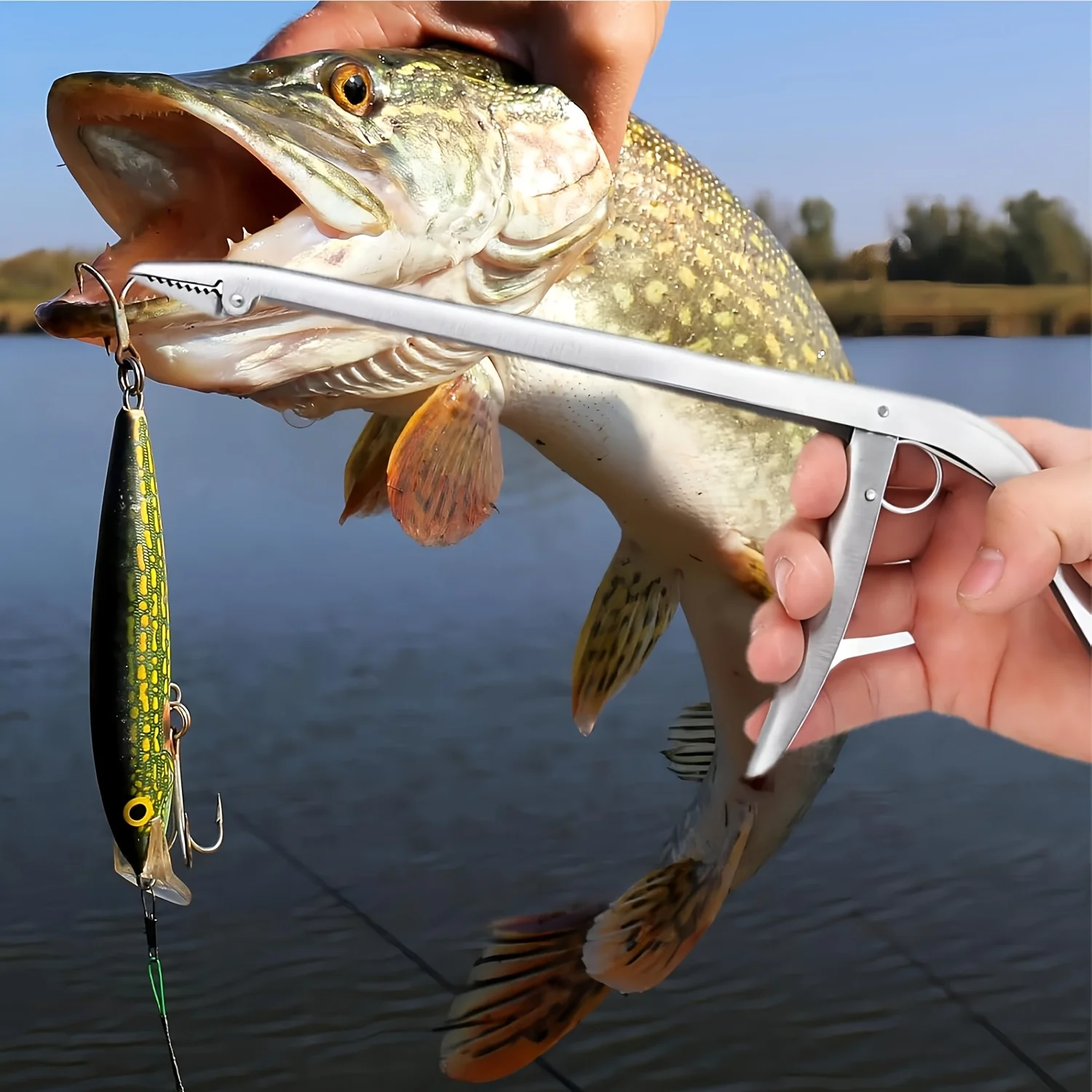 Fish Hook Remover Tool Stainless Steel Fish Dehooker Freshwater ...