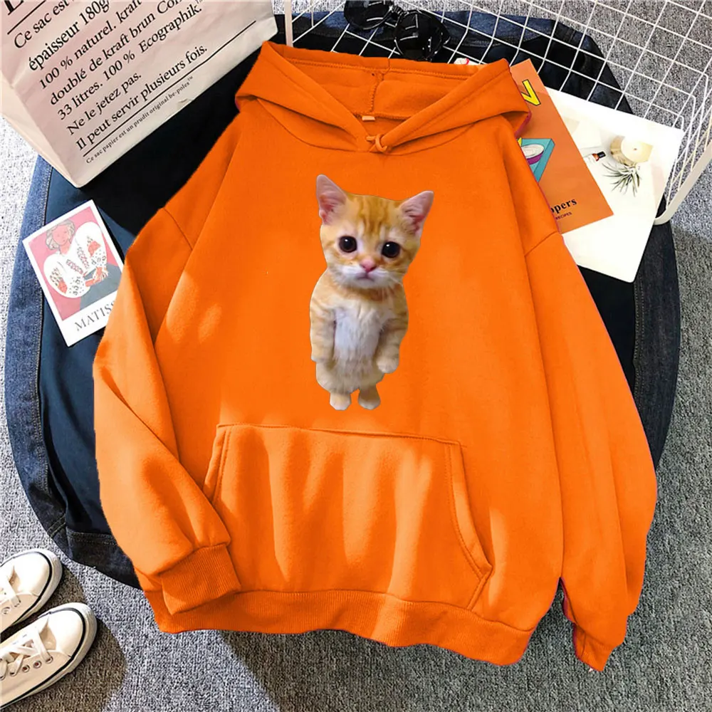 Cat In Hoodie Meme
