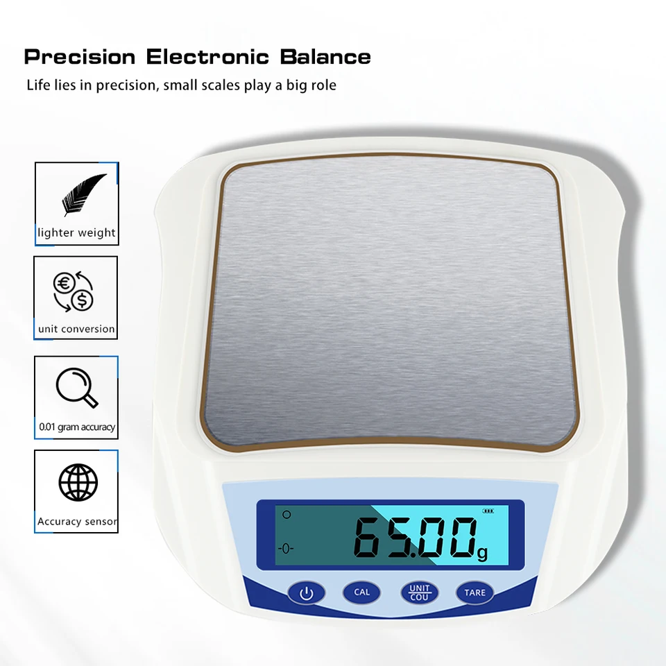 Electronic Balance Scale