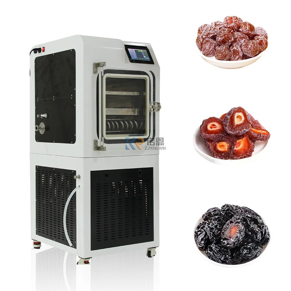 Electric-Freeze-Drying-Machine-Dryer-Shelf-Heating-Lyophilizer ...
