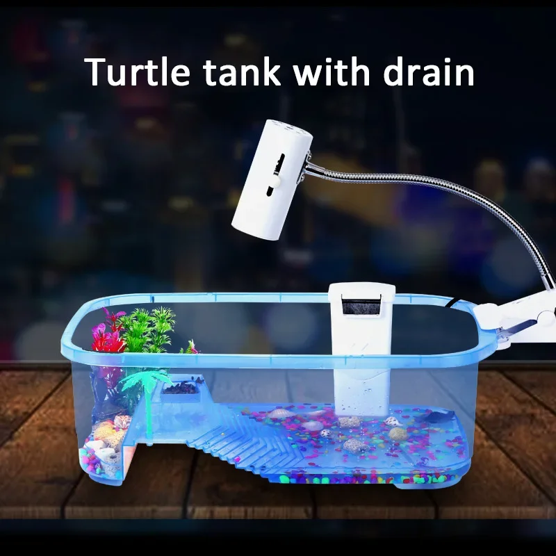 Simple-Turtle-Breed-Box-with-Drainage-Holes-PP-Material-Low-Water-Level ...