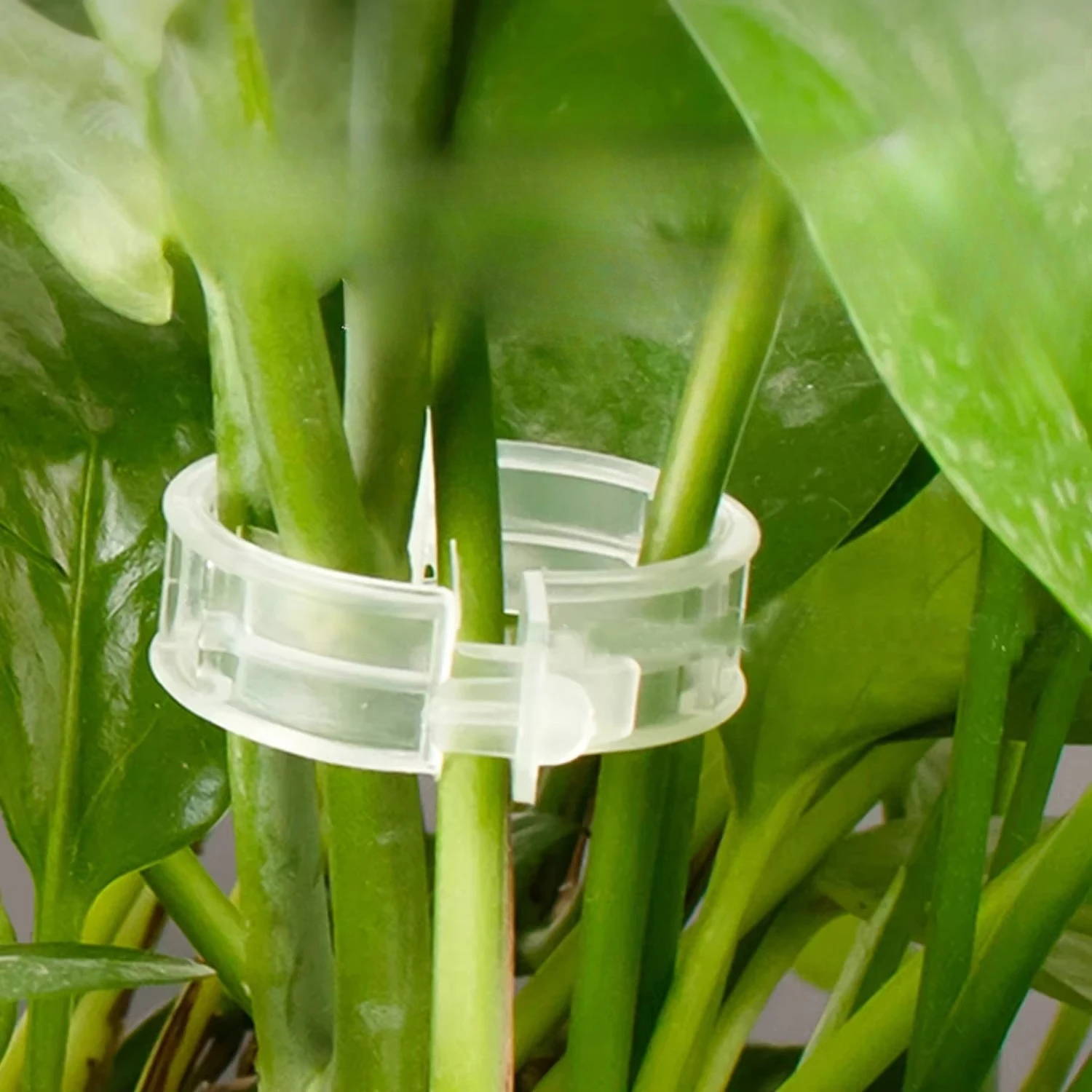 100-800PCS Plant Fixing Clips Reusable Plant Vegetables Vine Connects ...