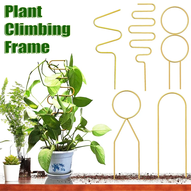 Metal-Climbing-Frame-for-Potted-Plants-Indoor-Flower-Pot-Vine-Gold ...