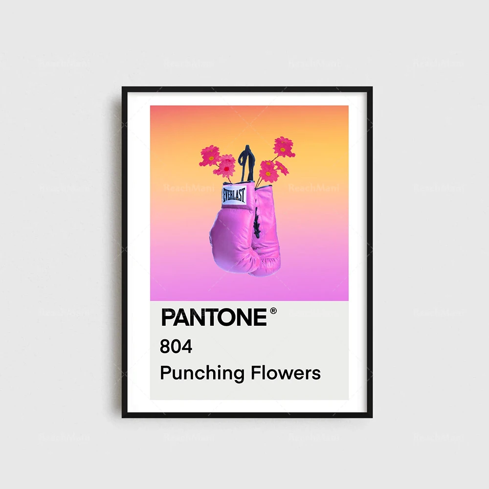 Pantone 804