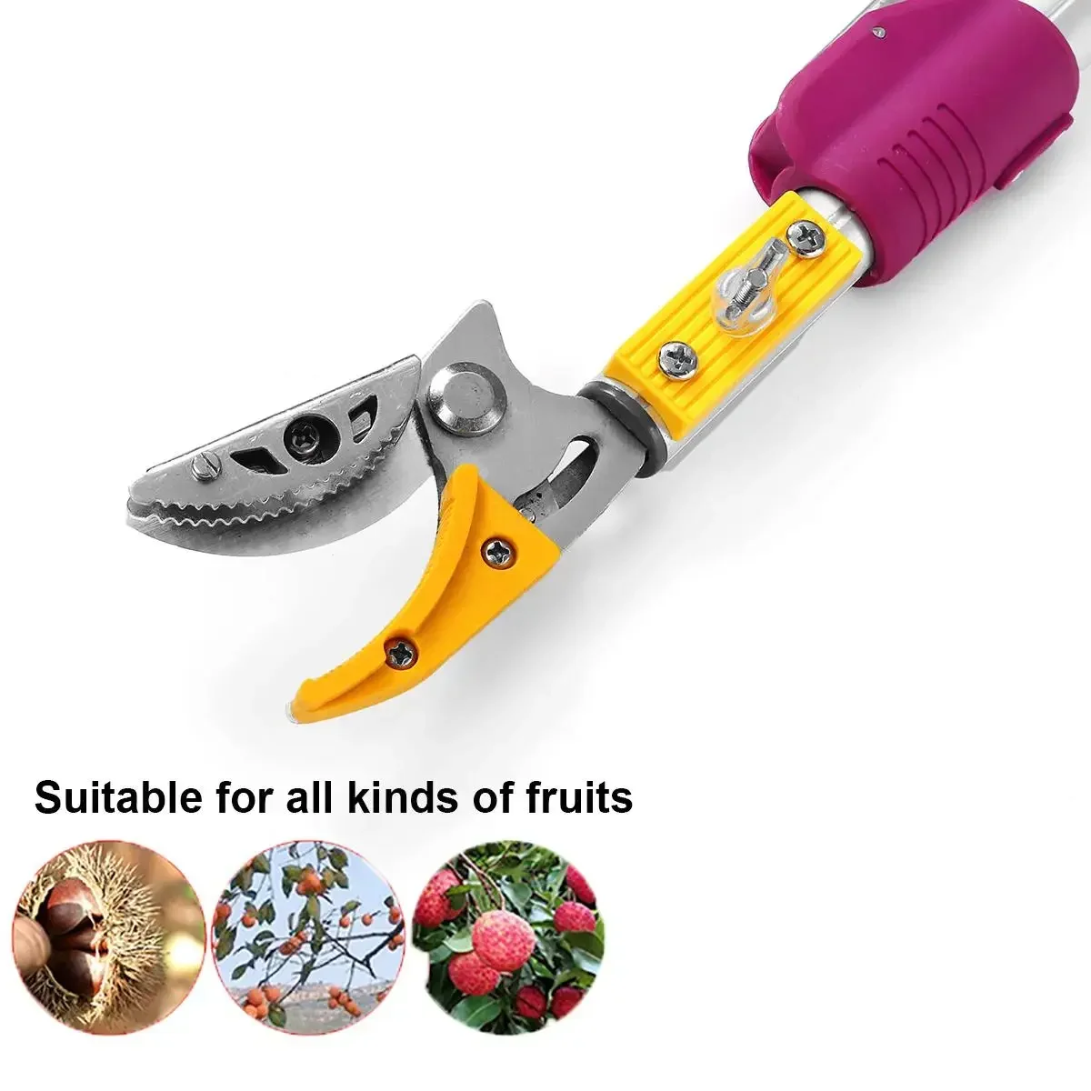 2-2m-Max-Cutting-1-2-inch-Extra-Long-Reach-Pruner-Cut-and-Hold-Bypass ...