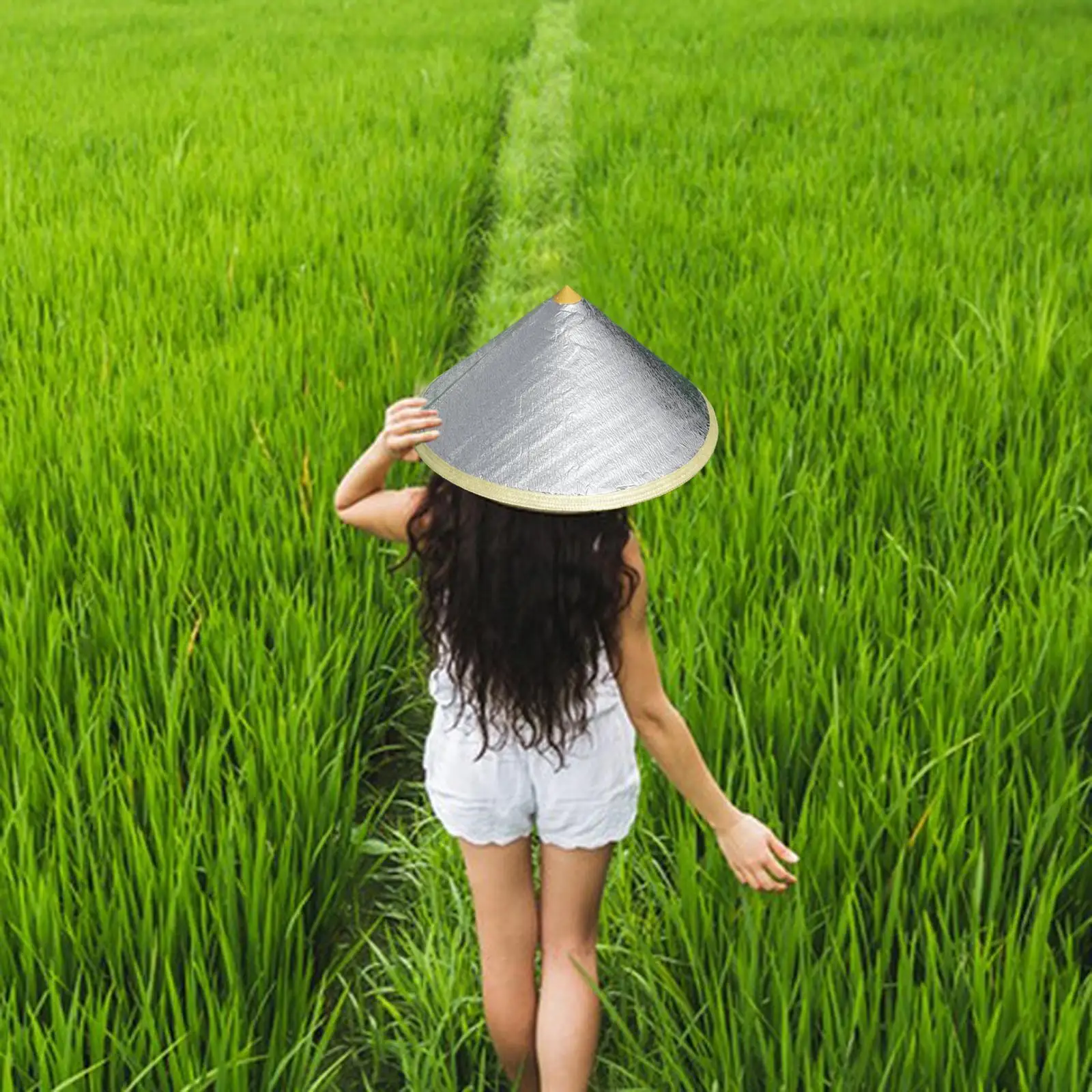 Traditional Vietnamese Hat