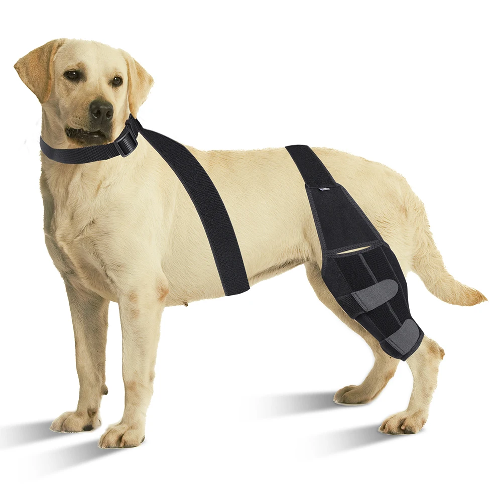 Pet-Knee-Pads-For-Joint-Injury-Recovery-Legs-Protector-Dog-Thigh-Brace ...