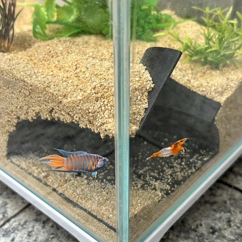 Create an adventure zone for your fish and shrimp in the cave, and ...
