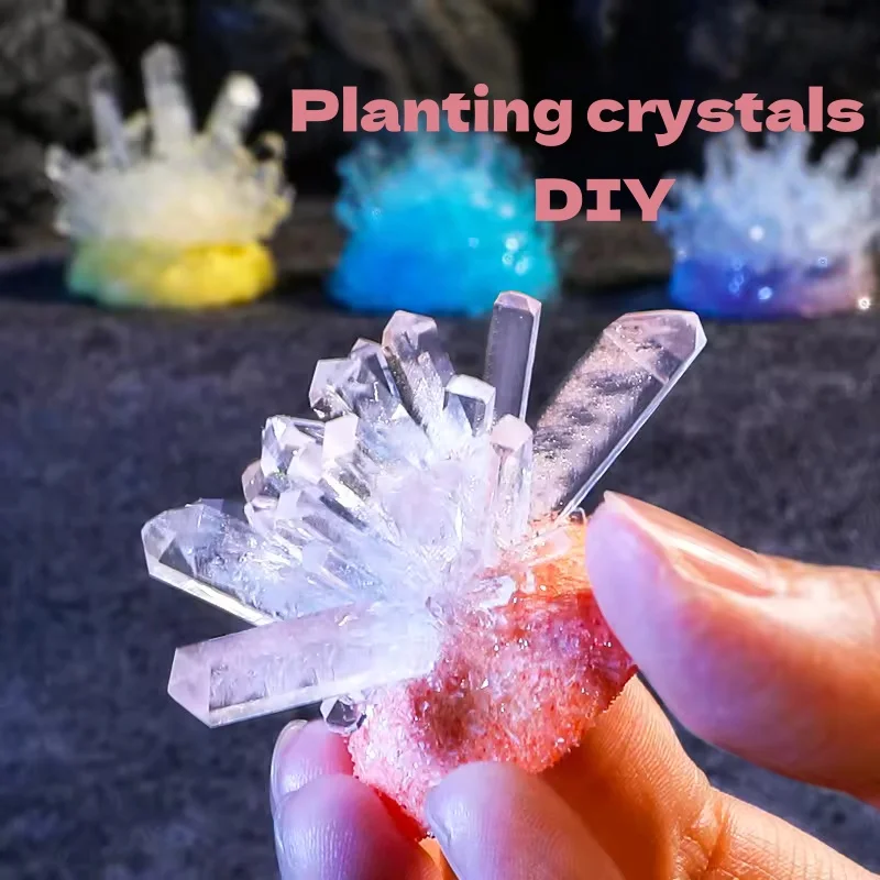 Crystal planting DIY scientific experiment set, fun parent-child ...