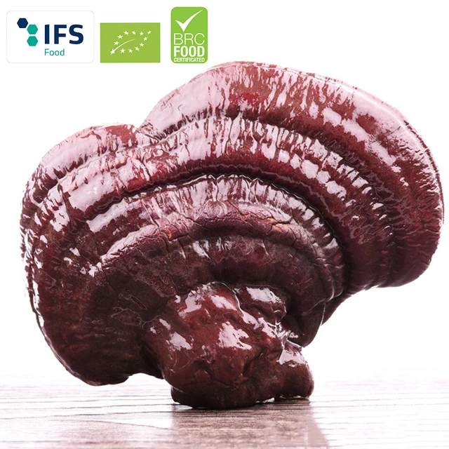 Wild Ganoderma Lucidum