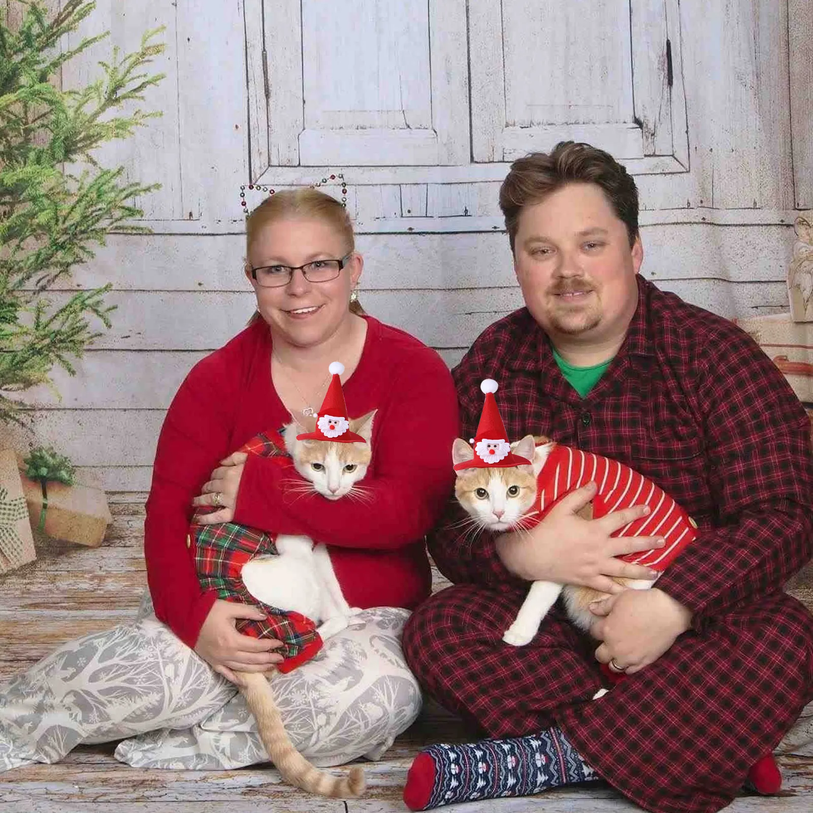 Awkward Family Photos Cats